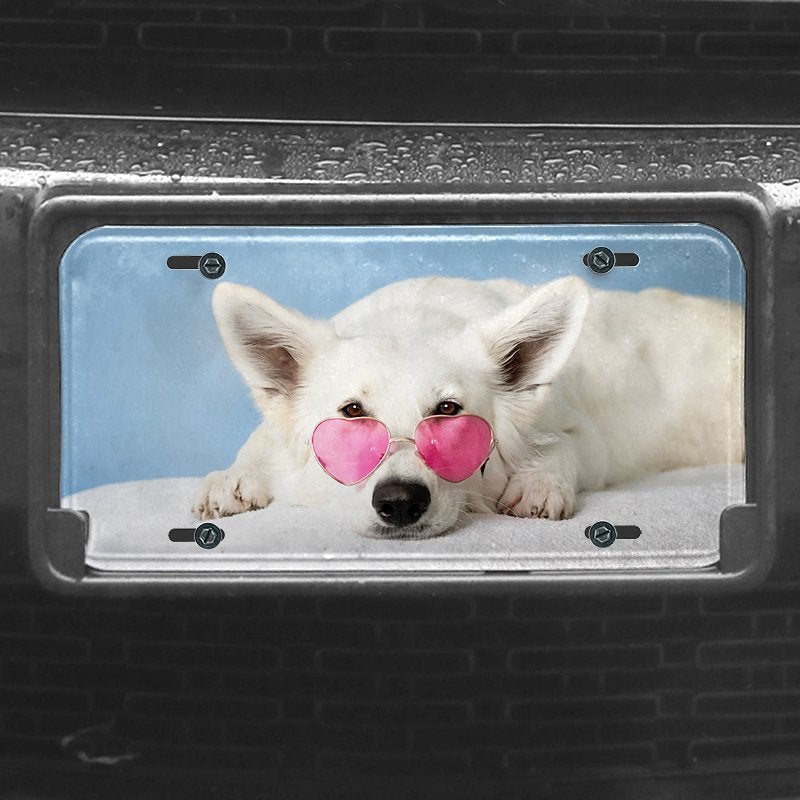 Upload Your Pet Photo Custom Front License Plate - CustomSigns.com